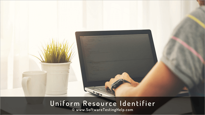 Demystifying Uniform Resource Identifiers (URIs) - Guru Software